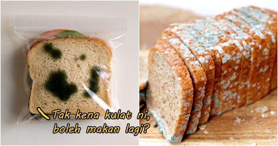 Kulat Kat Tepi Roti Mungkin Nampak Harmless, Tapi Sebenarnya... - Lobak ...