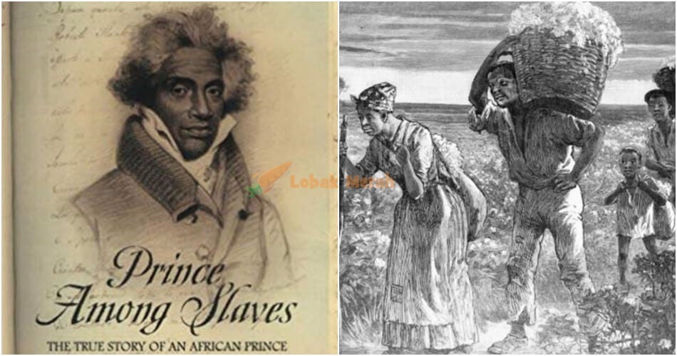 Prince Among Slaves : Kisah Malang Putera Raja Yang Diculik Dan Jadi ...