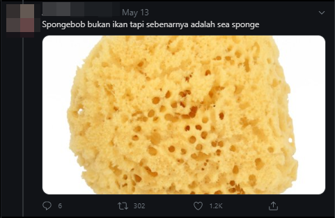 "Ingat bunga tu ganti awan" - Kisah Realiti Sebenar Kartun Spongebob ...