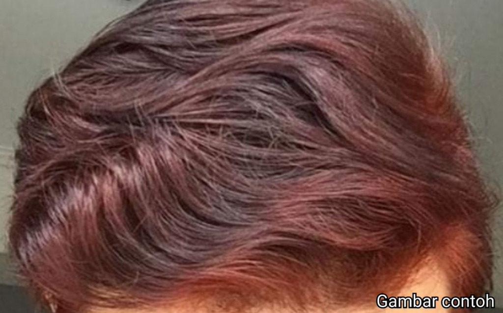 "Tujuan mewarnakan rambut hanya saja-saja takde masalah" - PU Azman ...