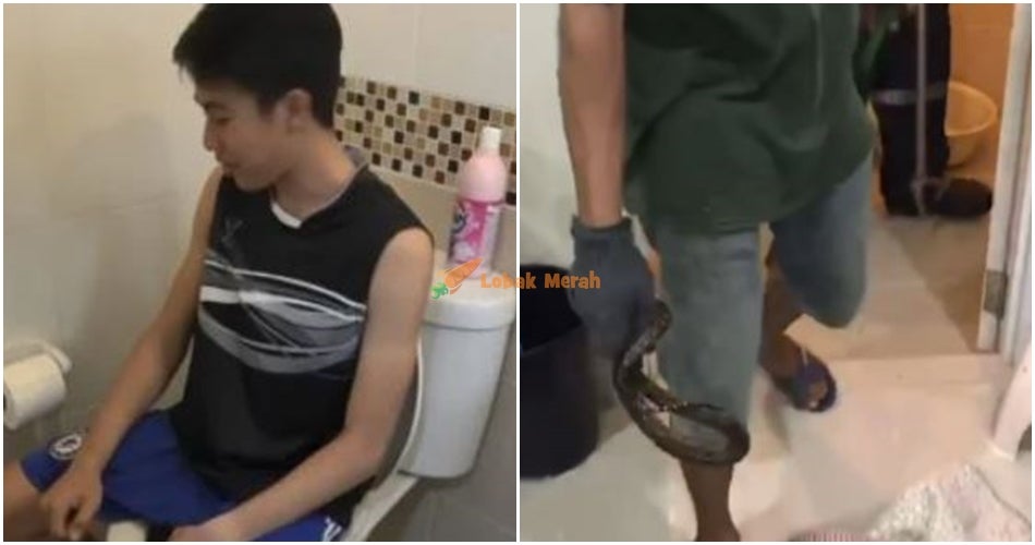 Ular Panjang 4 Kaki Gigit Kemaluan Remaja Lelaki Ini Dari Lubang Jamban ...