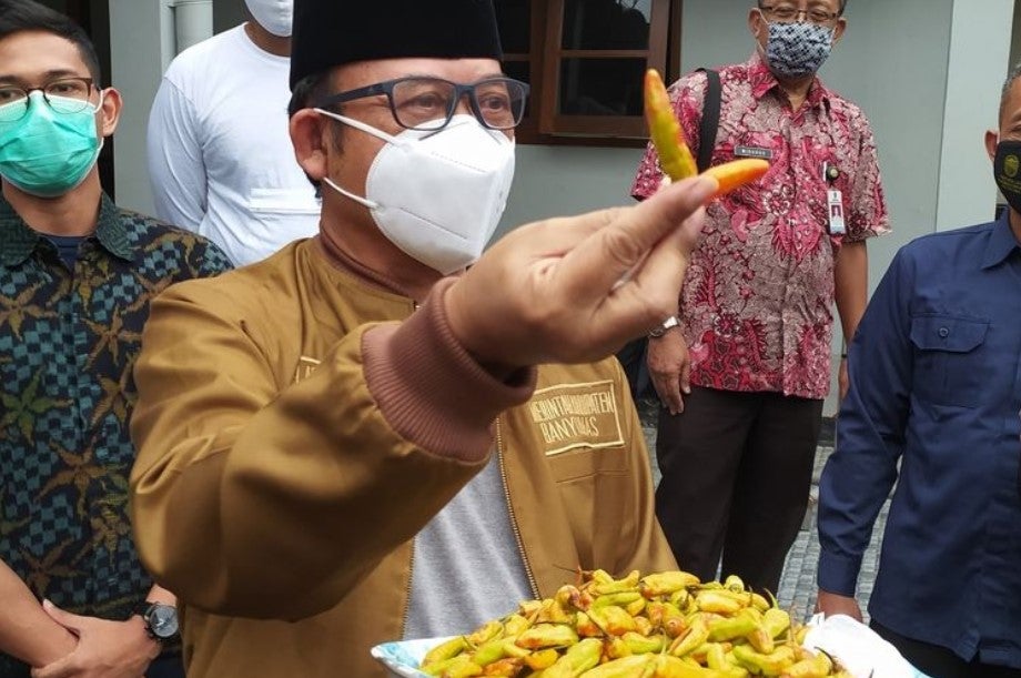 "Cannot brain betul" - Cat Warna Merah Pada Cili Untuk Kaut Untung ...