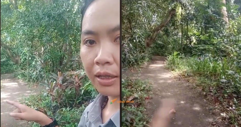 Bukan Sebab Jadi Penunjuk Jalan Je! Renjer Ini Jelaskan Fungsi Lain ...