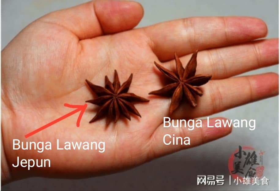 Rupa-Rupanya Bunga Lawang Ada Yang Beracun! Ketahui Cirinya Agar Tak ...