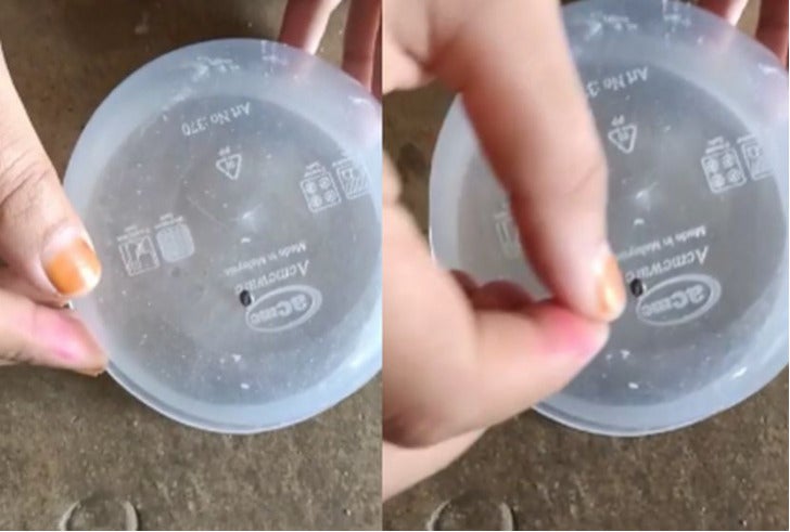 Bahaya Sengkenit 'Bergayut' di Kelopak Mata, Mujur Teknik Pantas Ibu Ni ...