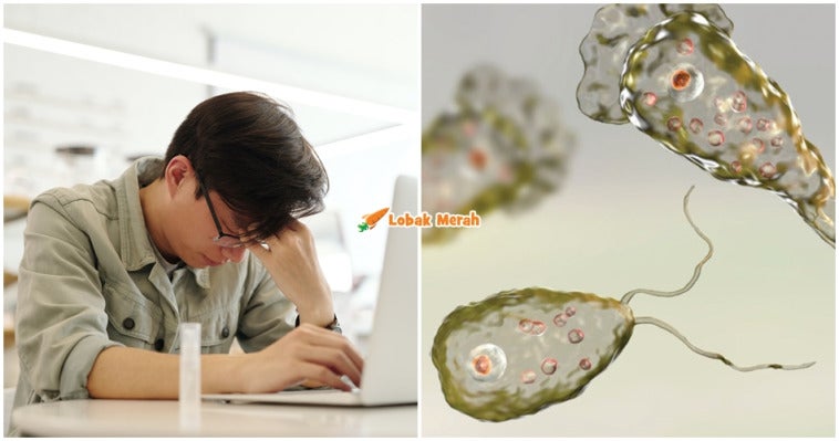 Korea Selatan Rekodkan Kes Pertama 'Ameoba Pemakan Otak' - Lobak Merah