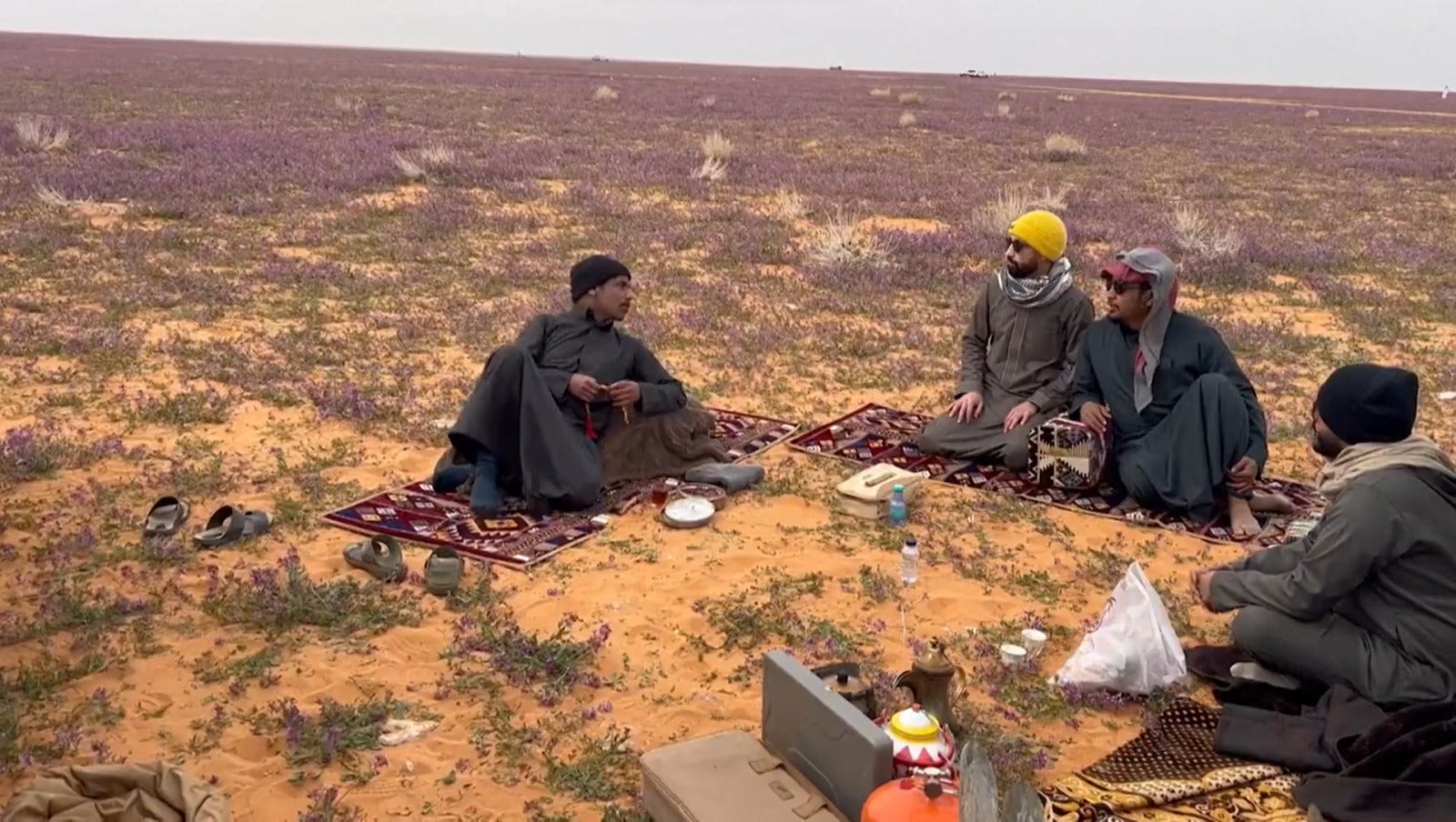 Fenomena Jarang Berlaku, Padang Pasir Arab Saudi Berubah Jadi Kebun ...
