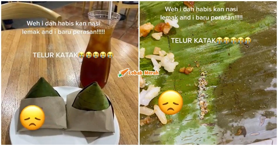 [VIDEO] Kembang Tekak! Individu Terjumpa Telur Katak Lepas Habis Makan ...