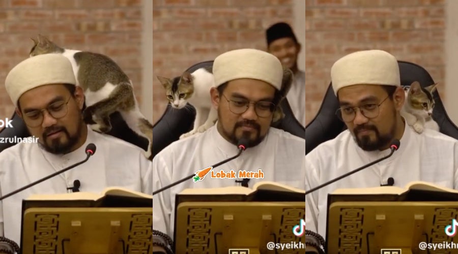 Lagi Kes Kucing Panjat Orang, Kali Ini Ketika Ustaz Sedang Bagi Ceramah ...