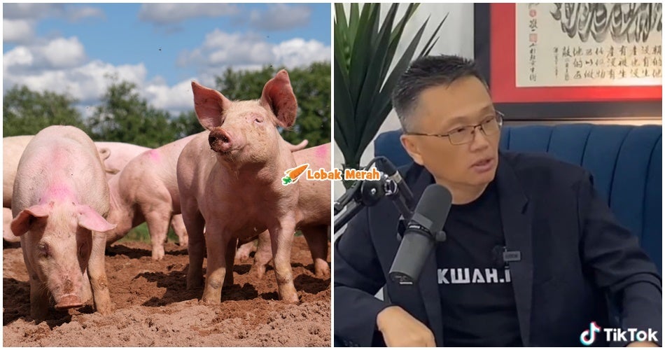 [VIDEO] Kenapa Islam Larang Makan Babi? Mualaf Kongsi Jawapan Terbaik ...