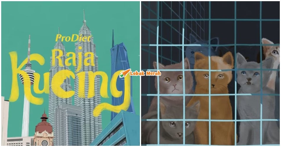 "Sedihnya!" - Ingat Kucing Taknak 'Beraya' Jugak Ke? Iklan Raya ProDiet ...