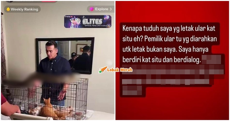 “Kenapa tuduh saya?" - Dikecam Letak Ular Atas Sangkar Kucing, Aaron Aziz Beri Penjelasan ...