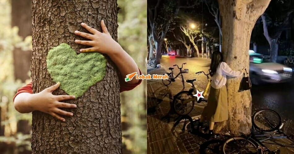 "Terapi percuma"- Wanita Peluk Pokok, Dakwa Boleh Kurangkan Stres ...