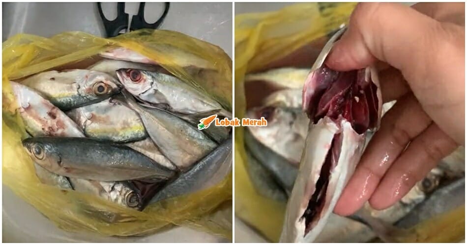 "Semua tak boleh makan" - Wanita Kesal Peniaga Tak Jujur, Terkejut ...