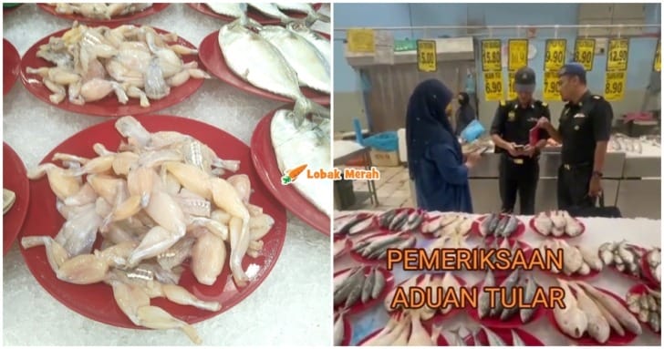 "Bukan untuk dijual" - KPDN Respon Isu Pasar Raya Tular Jual Daging ...