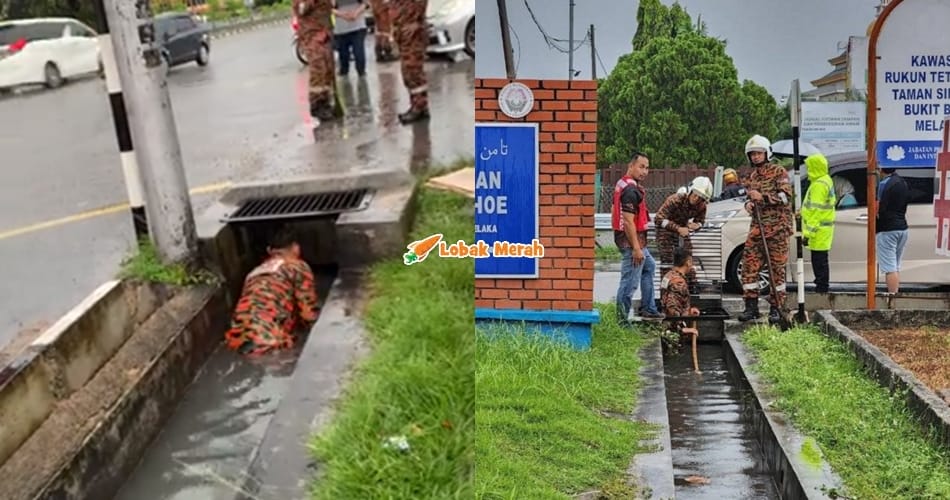 Kanak-kanak 2 Tahun Hilang Disyaki Jatuh Dalam Parit Tepi Jalan Telah Ditemui - Lobak Merah