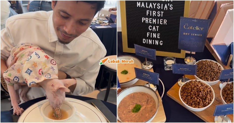 "Untung Rokieya" - Ramai 'Terliur' Tengok Mark Adam Bawak Kucing Makan ...