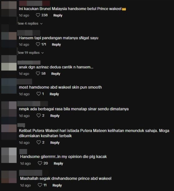 "Handsomenyaaa" - Selepas Putera Mateen, Putera Abdul Wakeel Pula Jadi Pujaan Para Gadis - Lobak ...