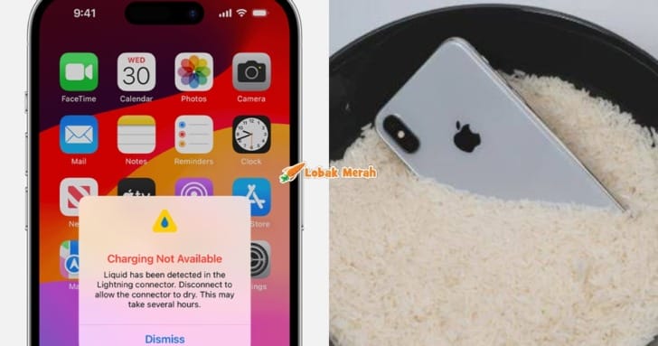 Jangan Letak Dalam Beras Lagi Dah! Ini Cara Yang Betul Untuk Keringkan ...