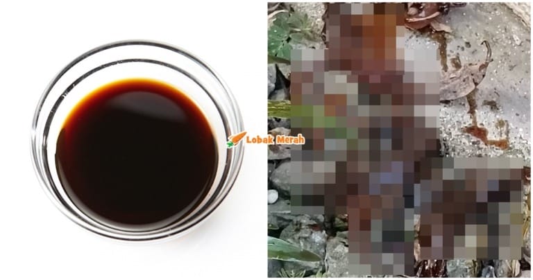 Netizen Kembang Tekak Lepas Tengok Ada 6 Ekor Cicak Dalam Botol Kicap ...