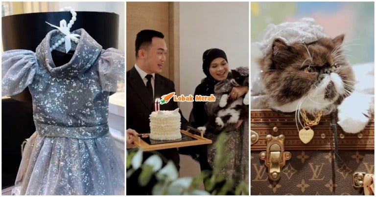 'Founder' Jenama Tudung Sambut 'Birthday' Kucing, Siap Pakaikan Baju Bertatah Swarovski - Lobak ...