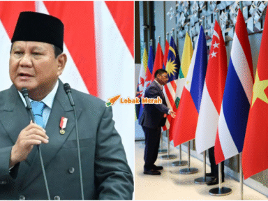 "Melecur kalau kena gigit" - Ini Cara Merawat Kesan Gigitan Semut ...