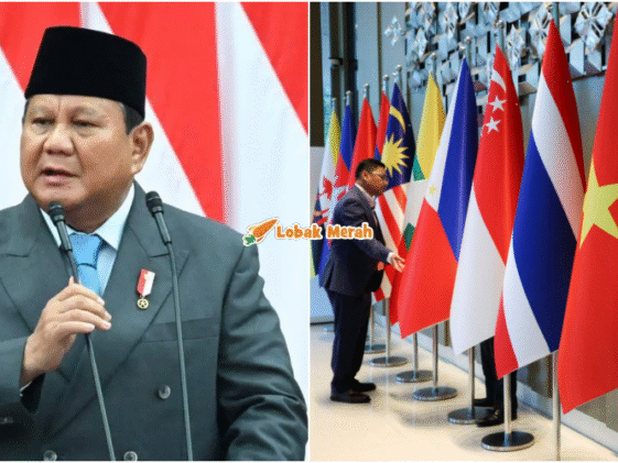 "Melecur kalau kena gigit" - Ini Cara Merawat Kesan Gigitan Semut ...