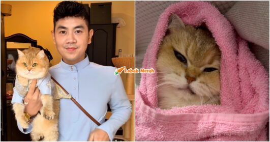 "Princess semua orang..." - Pernah Muncul Dalam Beberapa Iklan ...