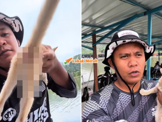 "Melecur kalau kena gigit" - Ini Cara Merawat Kesan Gigitan Semut ...
