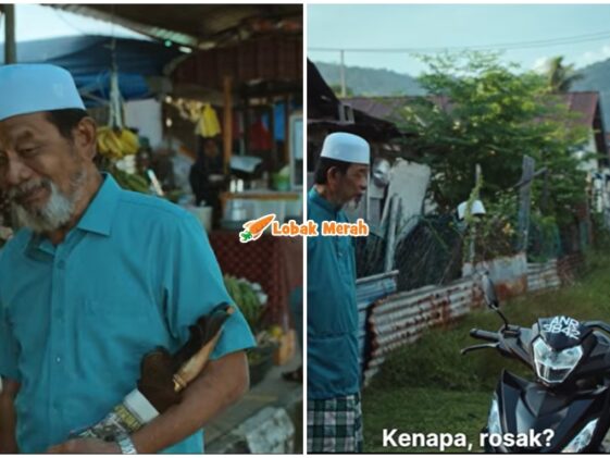 "Melecur kalau kena gigit" - Ini Cara Merawat Kesan Gigitan Semut ...